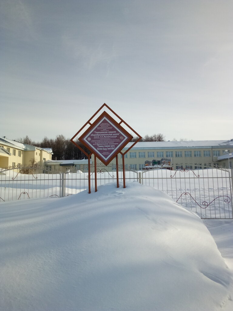 Ortaokul Тимяшевская средняя общеобразовательная школа, Tataristan, foto