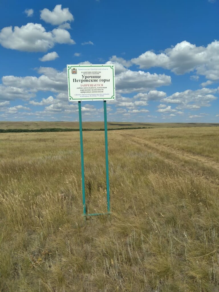 Doğa Урочище Петровские горы, Orenburgskaya oblastı, foto