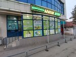 Pharmacy (Qazyǵurt kóshesi No:35, Dýman shaǵyn aýdany, Almaty), eczaneler  Almatı'dan