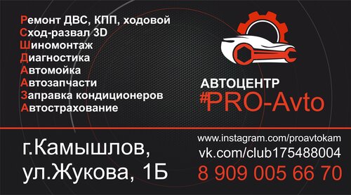 Otomobil servisi Автоцентр Pro-avto, Kamyşlov, foto