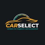 Carselect. md (Chisinau, Munceşti), araba seçimi hizmeti  Kişinev'den