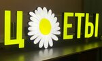 Daisies (Leninsky Avenue No:146), çiçekçiler  Moskova'dan