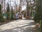 Kindergarten № 97 Zolotaya Ribka (Tashkent, Yunusabad District, Ahmad Donish Mahallah), anaokulları  Taşkent'ten