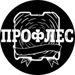 Profles (Profsoyuznaya Street No:2/1с12, district Cheremoshniki), yazlık ev inşaatı  Tomsk'tan