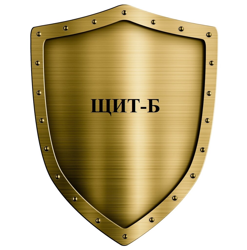 Güvenlik firmaları Choo Shield-B, Moskova, foto