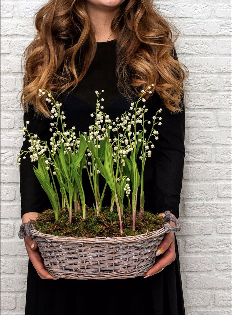 Çiçekçiler Ceh floristiki, Moskova, foto