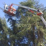 Artemide Multiservice (Lazio, Roma, Via San Nicola, 62), çocuk oyun ekipmanları  Lazio'dan