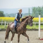 Toscana Equitazione (Tuscany, province of Florence, Via Pian di Pesa, 1), evcil hayvan yetiştiricileri