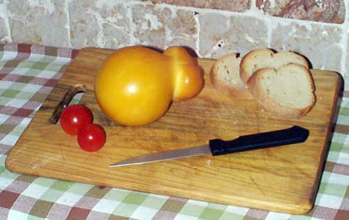Toptan süt ürünleri Caseificio Salatino, Puglia, foto