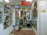 Lubava (ulitsa Betkhovena No:23), güvenlik ve alarm sistemleri  Omsk'tan