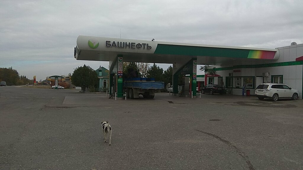 Benzin istasyonu Башнефть, Dağıstan, foto