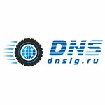 DNS Logistik Grupp (Moskovskiy Avenue No:130), nakliye firmaları  Voronej'den