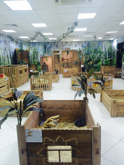 Hayvanat bahçeleri Kontaktny zoopark Teremok, Tiumen, foto