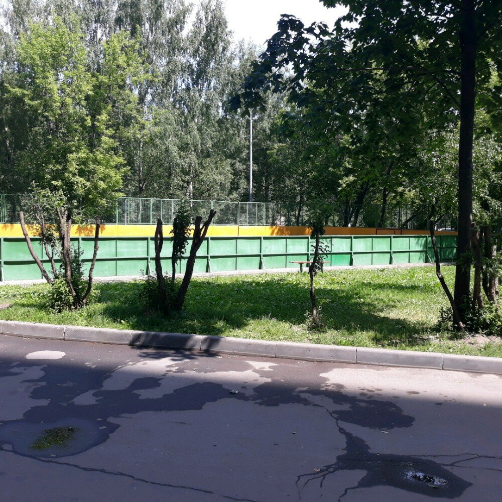 Spor alanı Ice rink, Moskova, foto