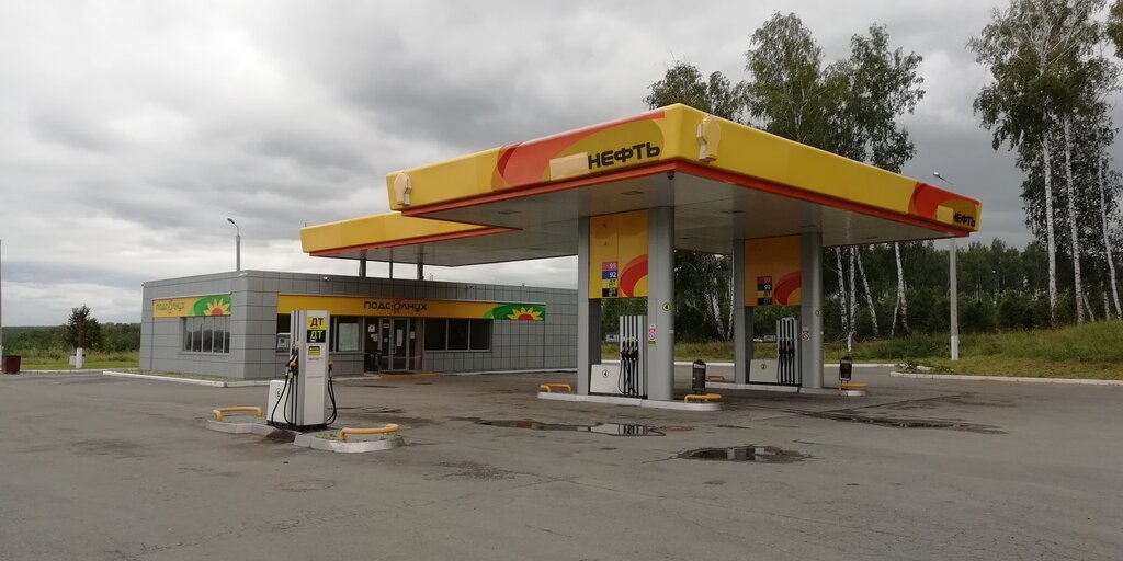 Benzin istasyonu Роснефть, Çeliabinskaya oblastı, foto