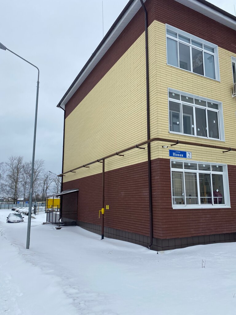 Süpermarket Pyatyorochka, Moskova ve Moskovskaya oblastı, foto