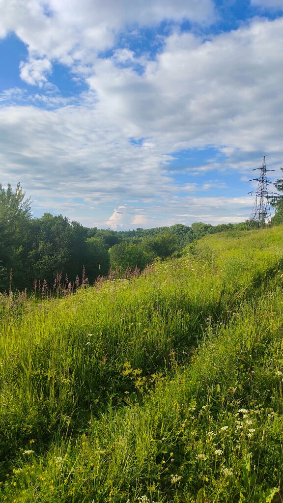 Seyir terası Смотровая площадка, Pskovskaya oblastı, foto