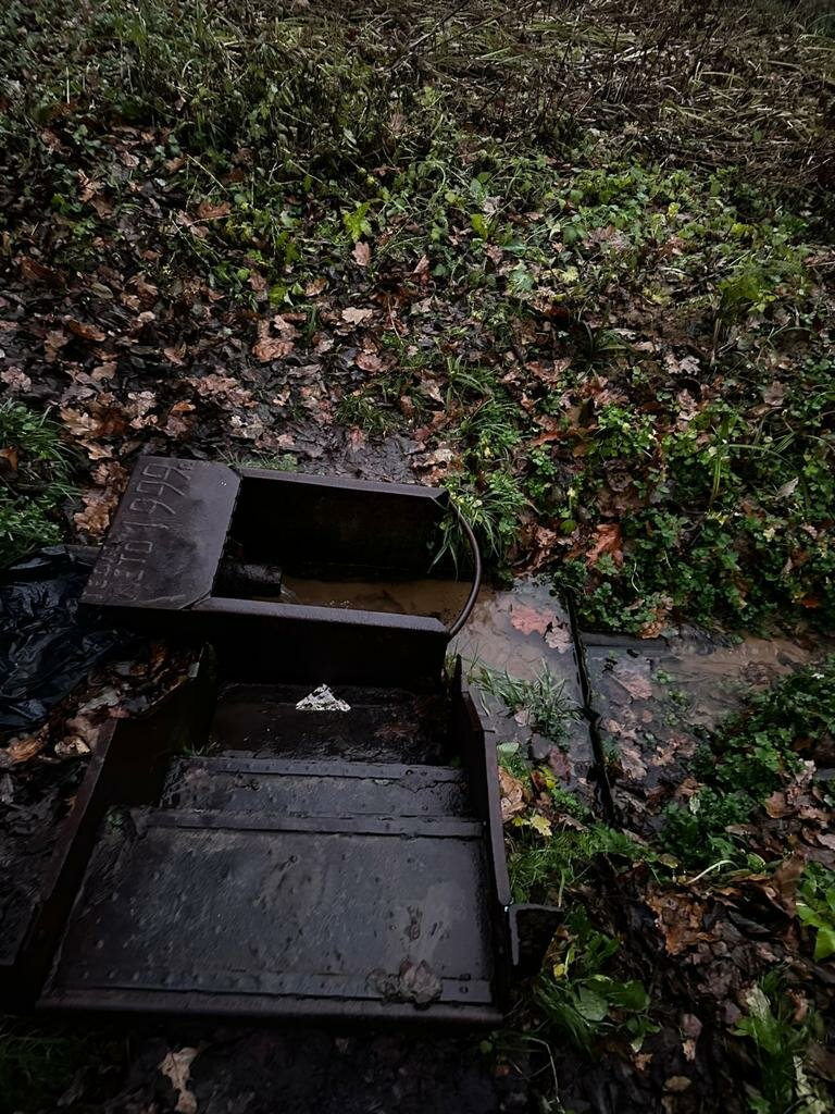 Pınar, çay Spring, stream, Moskova ve Moskovskaya oblastı, foto