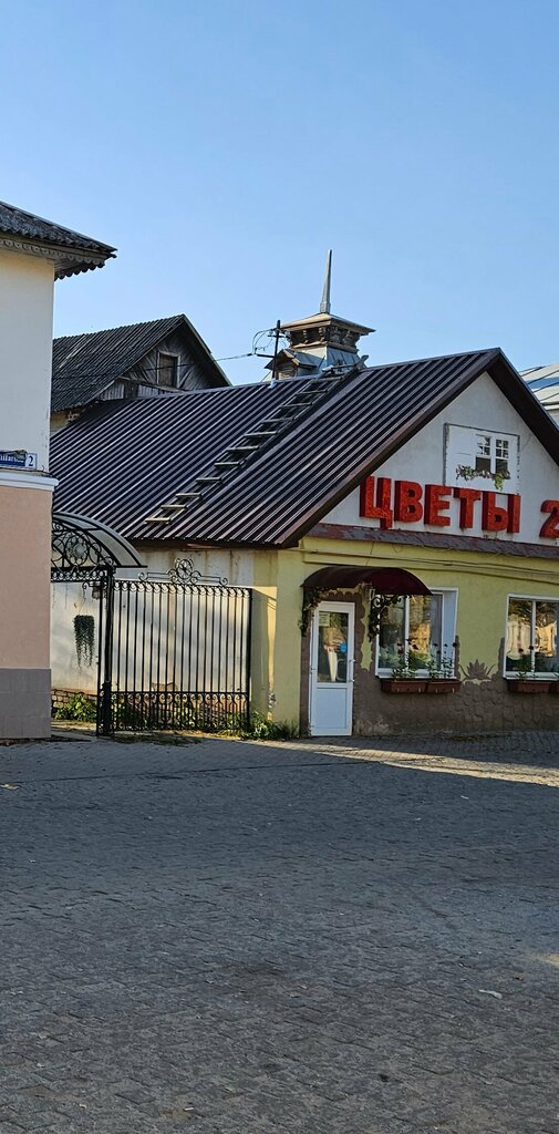 Çiçekçiler Tsvety 24 chasa, Privoljsk, foto
