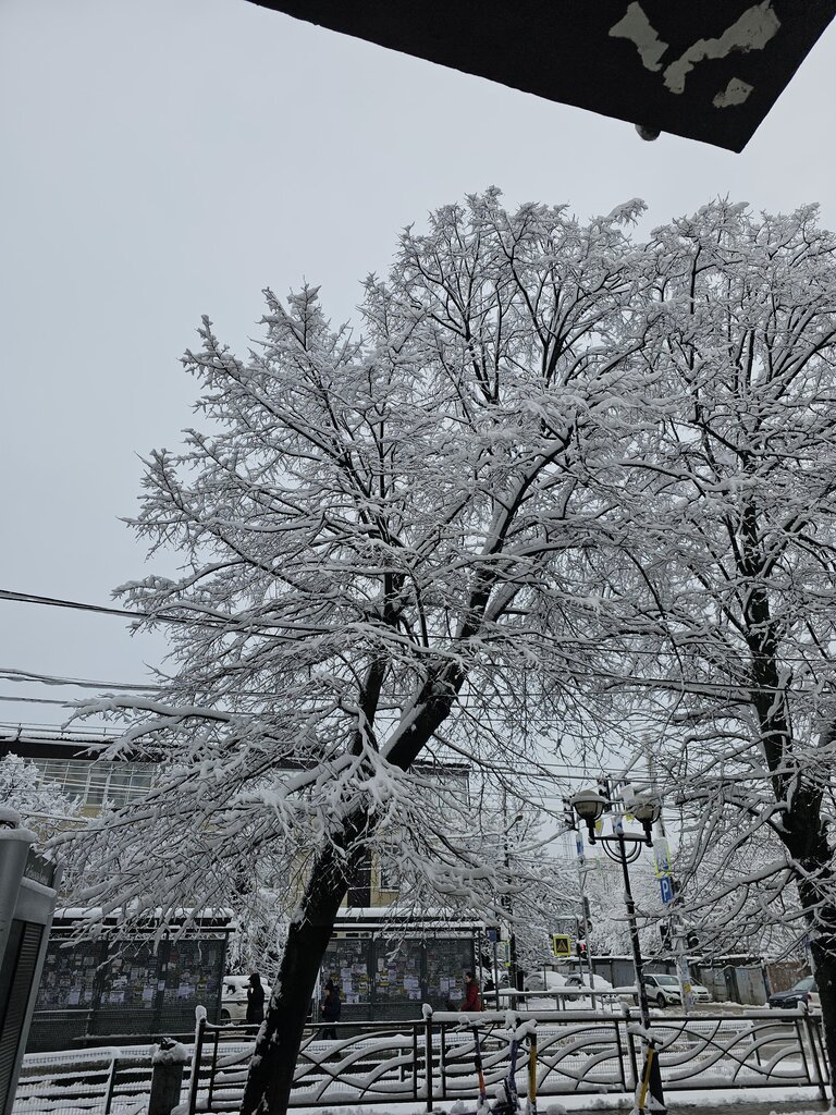 i̇skele Улица Челюскинцев, Stariy Oskol, foto