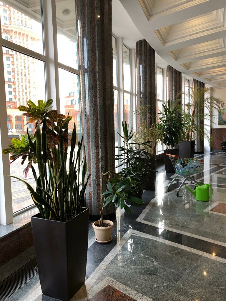 Bahçecilik mağazaları L-green, Viazniki, foto