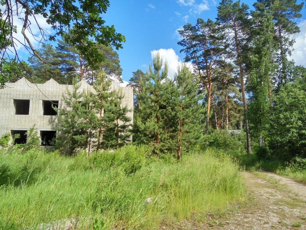Resort oteller, tesisler Дом отдыха Нагорное УАЗ, Ulyanovskaya oblastı, foto
