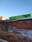 Sova (Luganskaya ulitsa No:2к1), market  Kopeysk'ten
