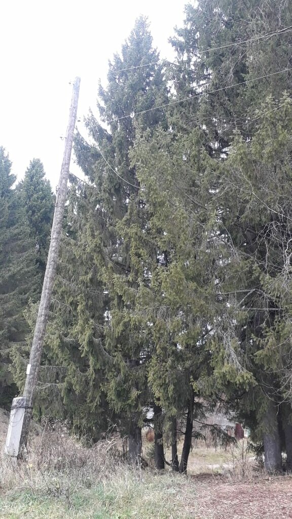 Konut servisleri kuruluşları Коммунальные электрические сети, Aleksandrovsk, foto