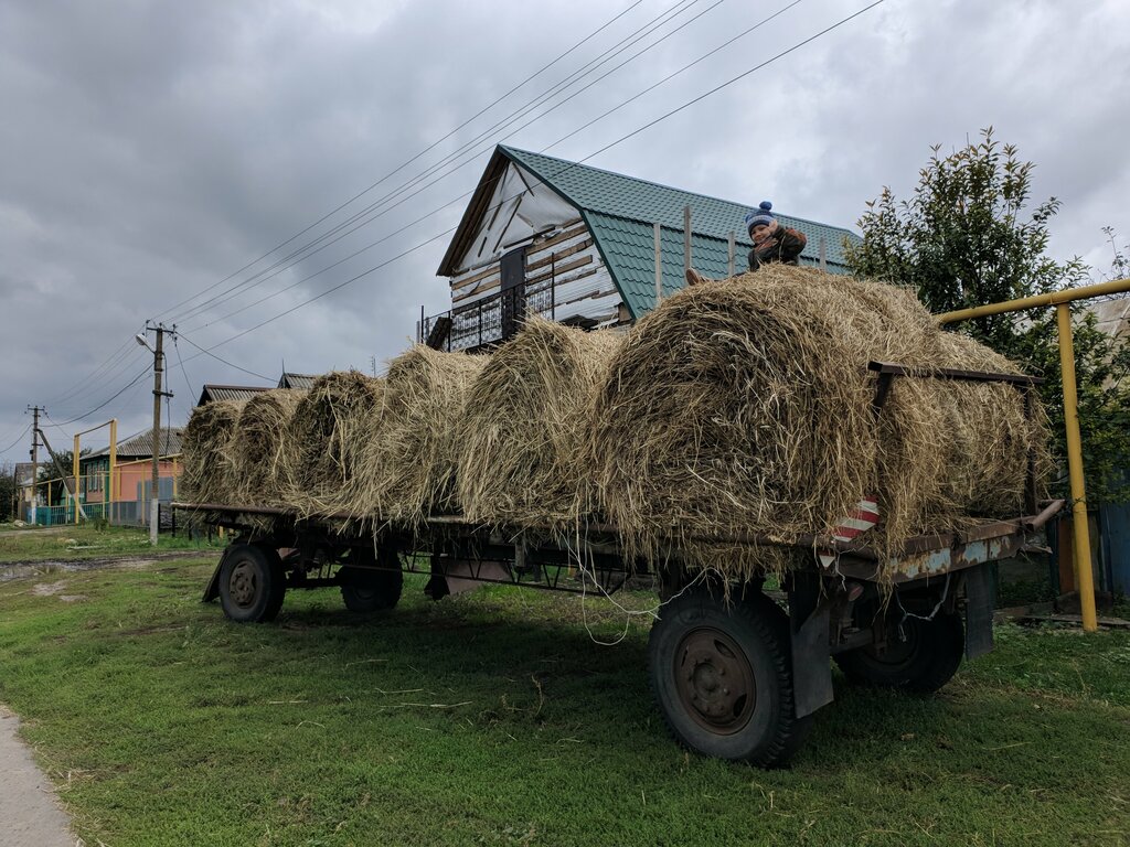 Hayvancılık Анютины Забавы, Voronejskaya oblastı, foto