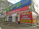 Fixbeer (Gidrotekhnicheskaya Street No:34, Shlyuzovoy Microdistrict), bira dükkanı  Tolyatti'den (Togliatti'den)