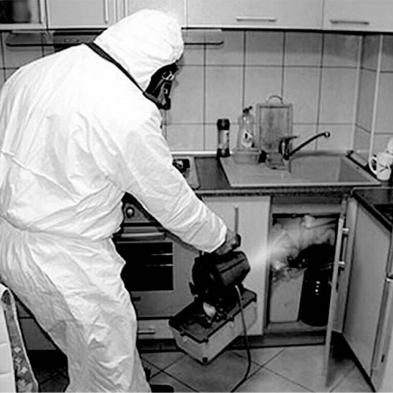 Haşere ilaçlama firmaları Dez Kontrol, Kazan, foto