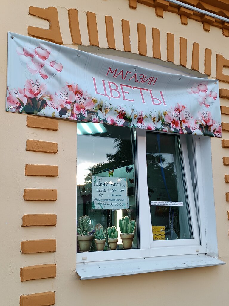 Çiçekçiler Цветы, Grodnenskaya oblastı, foto