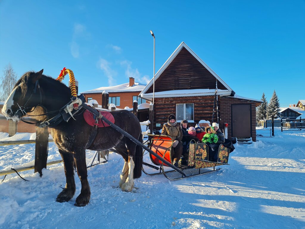 At ve binicilik kulüpleri Конный двор Патрушева, Tümen (Tiumenskaya) oblastı, foto