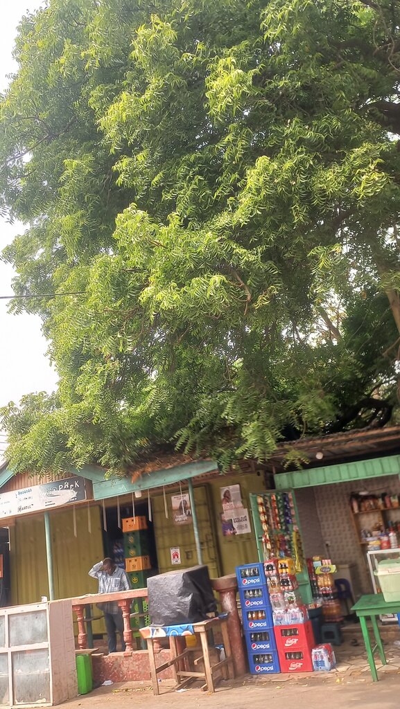 Ürün paketleme Ropack, Akra, foto