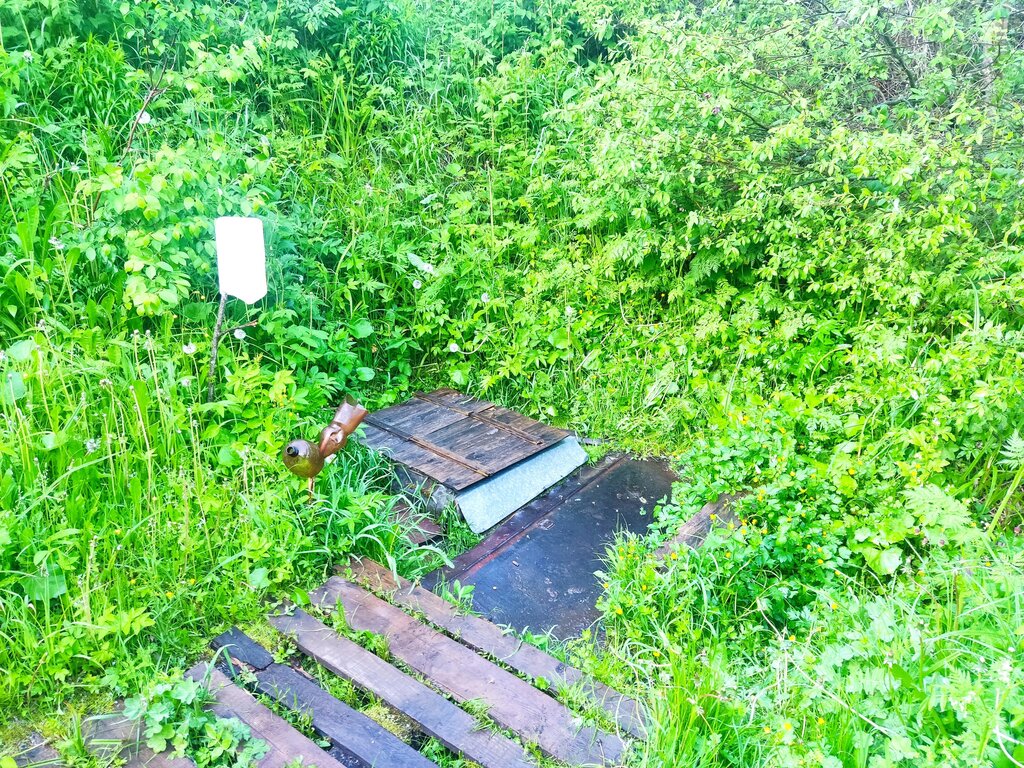 Pınar, çay Spring, stream, Nijegorodskaya oblastı, foto