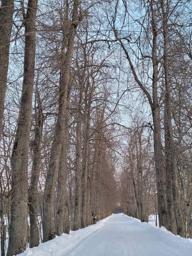 Turistik yerler Въездная аллея, Saint‑Petersburg ve Leningradskaya oblastı, foto