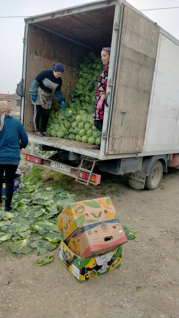 Belediyeler, devlet daireleri Администрация с. Белиджи, Dağıstan, foto