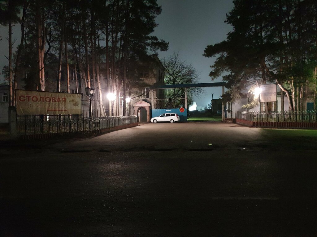 Endüstriyel temizlik Peskostrui 046, Kursk, foto