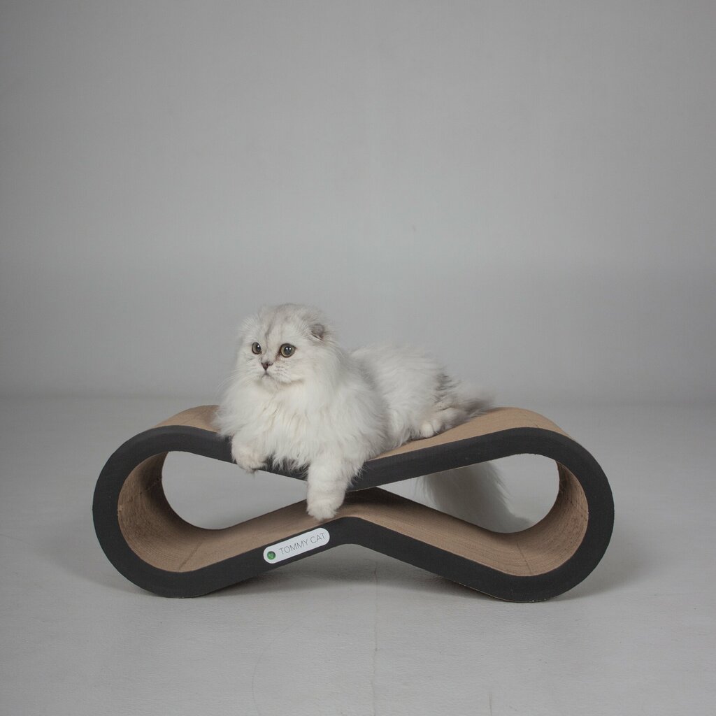 Petshop Томми Кэт, Saint‑Petersburg, foto