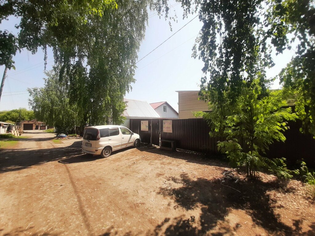 Pet otel Gostinitsa dlya zhivotnykh, Barnaul, foto