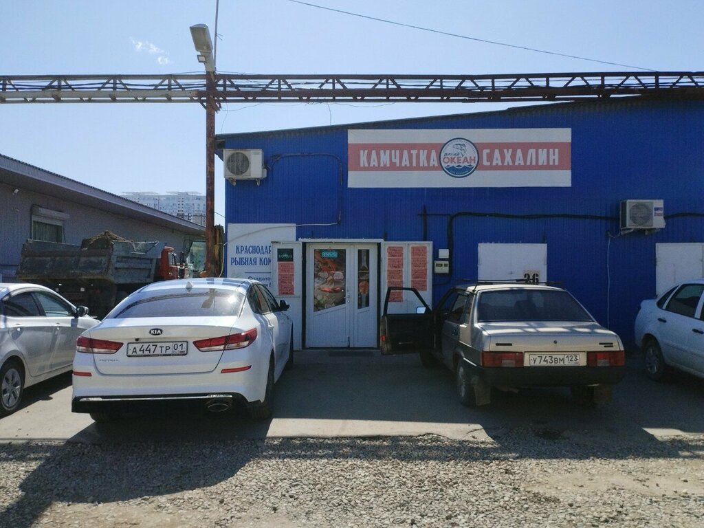 Balık ve deniz ürünleri Океан Камчатка Сахалин, Krasnodar, foto