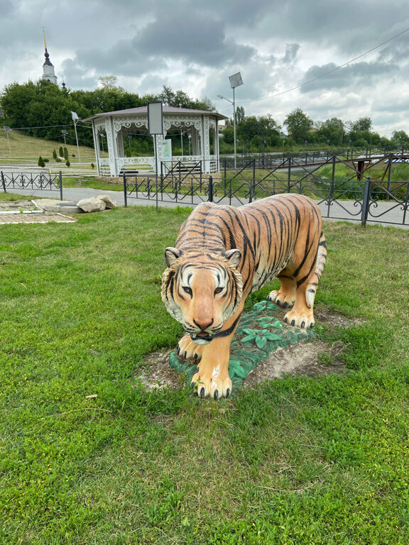 Park, sokak heykeli Тигр и тигрица, Çaplygin, foto