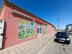 Ulzhan (Mańǵystaý oblysy, Aktau, Oımasha turǵyn alaby), market  Aktav'dan