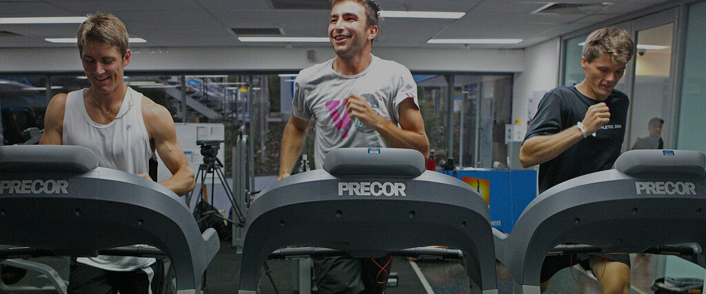 Kablo firmaları Signal Trading, Dubai, foto