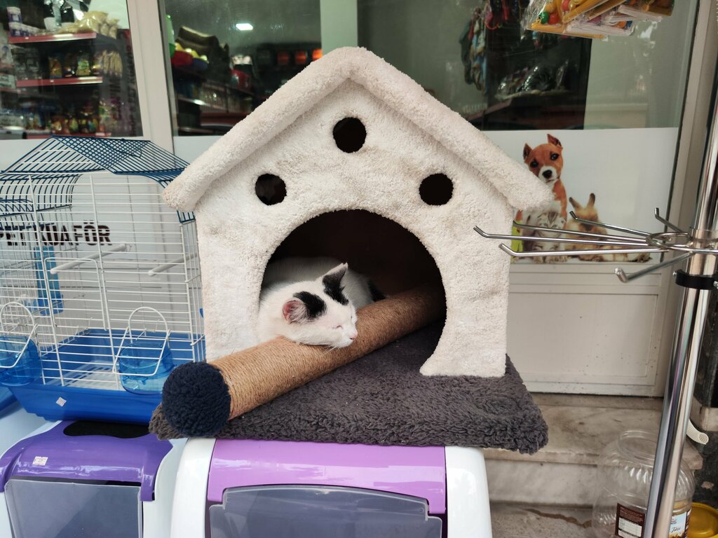 Evcil hayvan kuaförleri Can'ım Petshop ve Pet Kuaför, İzmir, foto