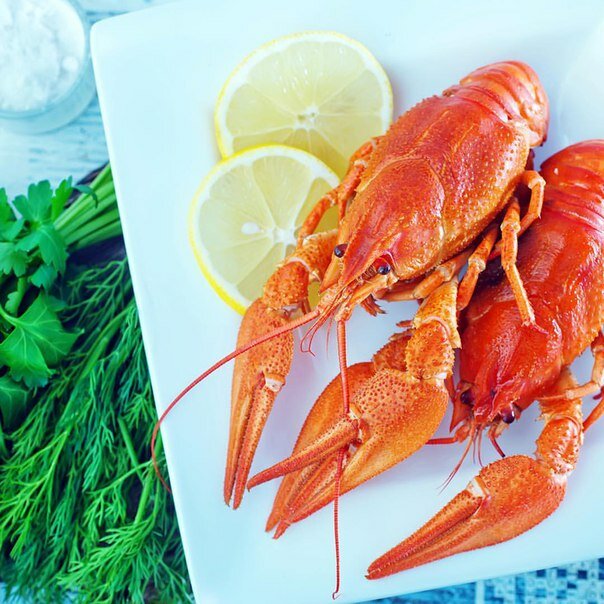 Kafe Ivan Rakov, Moskova, foto