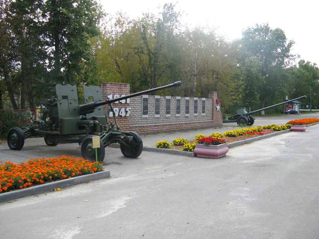 Anıt, heykel Участникам локальных войн в Афганистане и Чечне, Kulebaki, foto