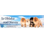 Iz Oblaka nad Nevoy (Sofiyskaya ulitsa No:5А, derevnya Vartemyagi, kottedzhny posyolok Lyubovino), evcil hayvan yetiştiricileri  Saint‑Petersburg ve Leningradskaya oblastından