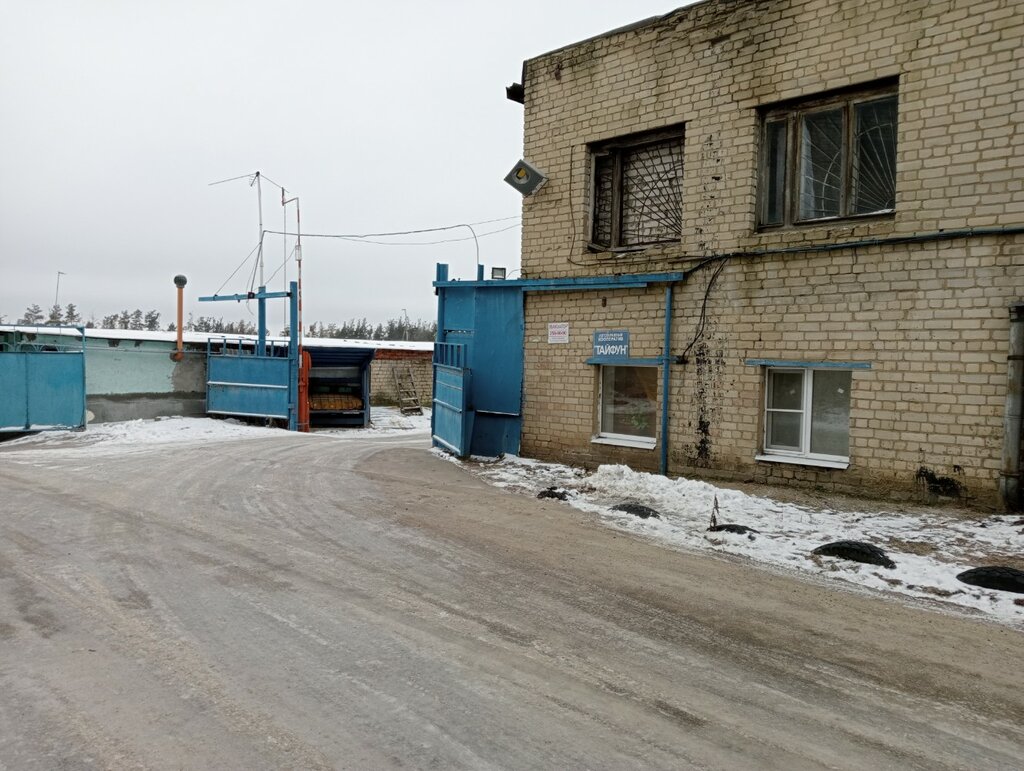 Garajlar Тайфун, Voronej, foto