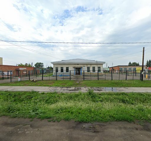 Otogarlar Автостанция Колосовка, Omskaya oblastı, foto